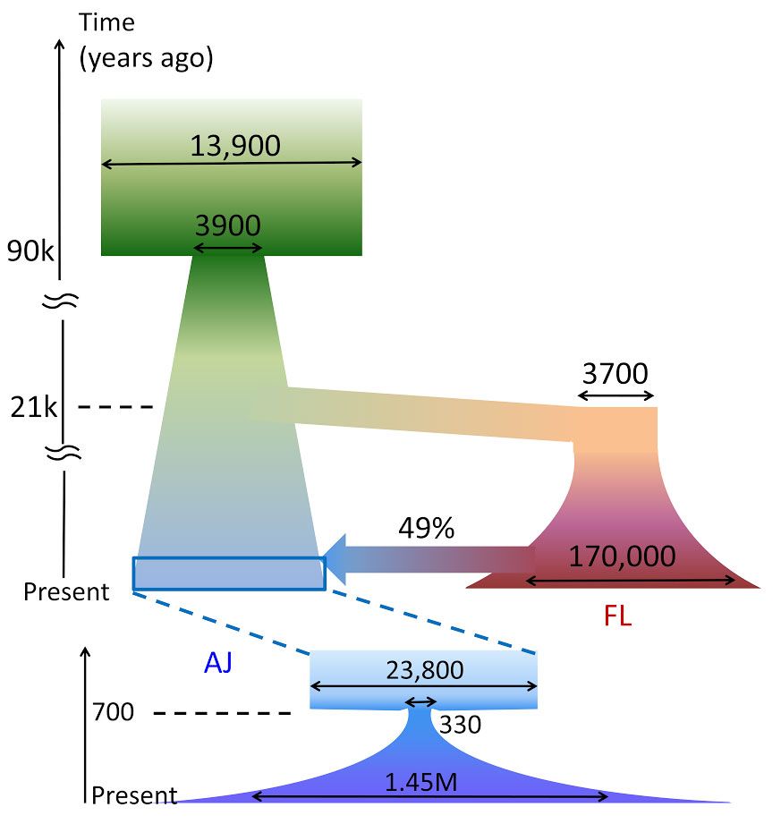 Oy Vey! European Jews Are All 30th Cousins, Study Finds | Live Science