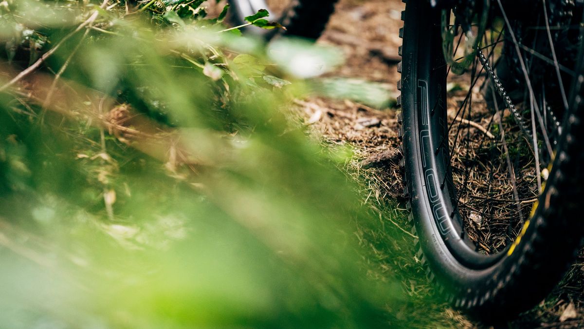 Tubeless mountain bike tires – everything you need to know | Bike Perfect