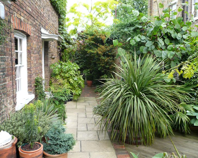 Learn the dos and don'ts of designing a path for your space | Gardeningetc