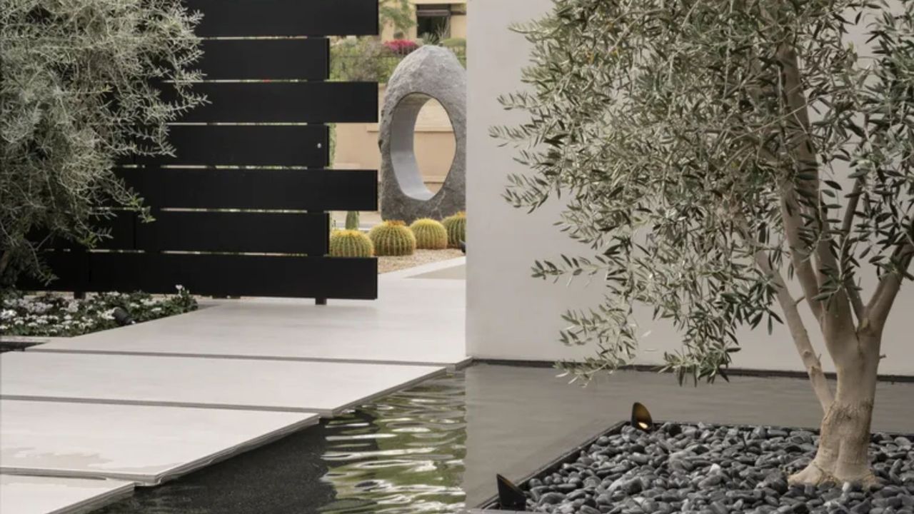 8 Water Garden Ideas That Will Elevate Your Backyard | Livingetc