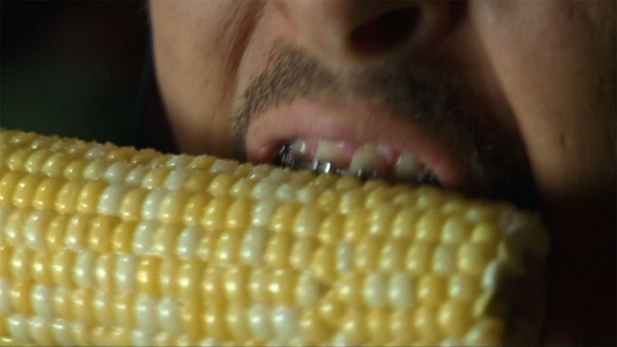 Adapting Stephen King's Secret Window, Secret Garden: Peering Into 2004 ...