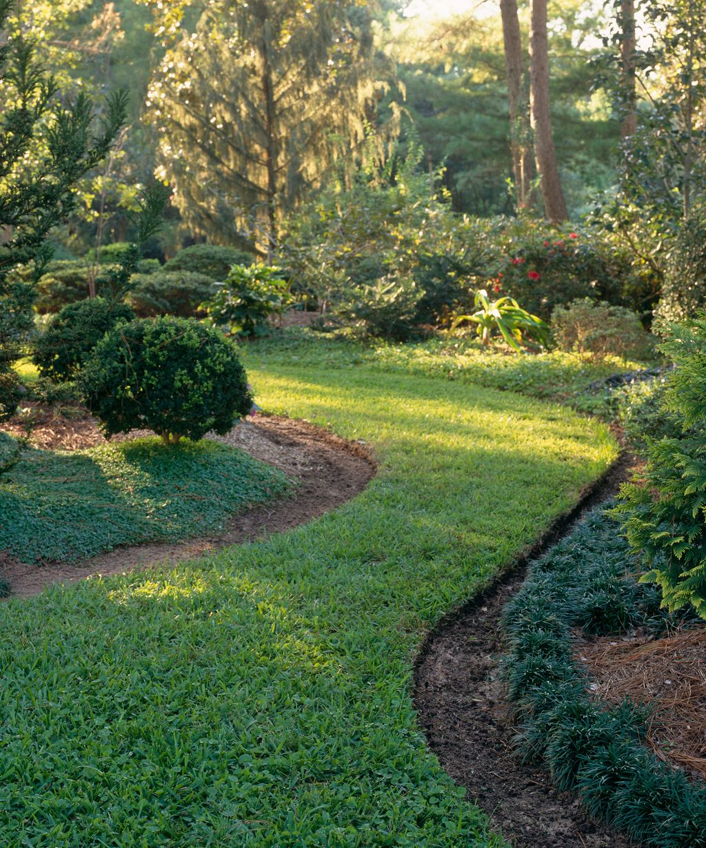 Learn the dos and don'ts of designing a path for your space | Gardeningetc