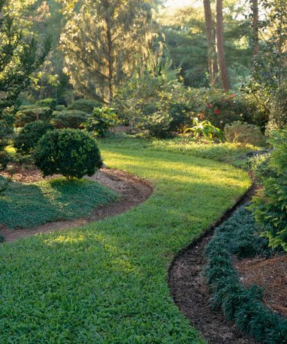 Learn the dos and don'ts of designing a path for your space | Gardeningetc