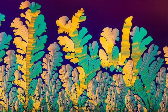 Album artwork of the week: Jon Hopkins' Immunity | Creative Bloq