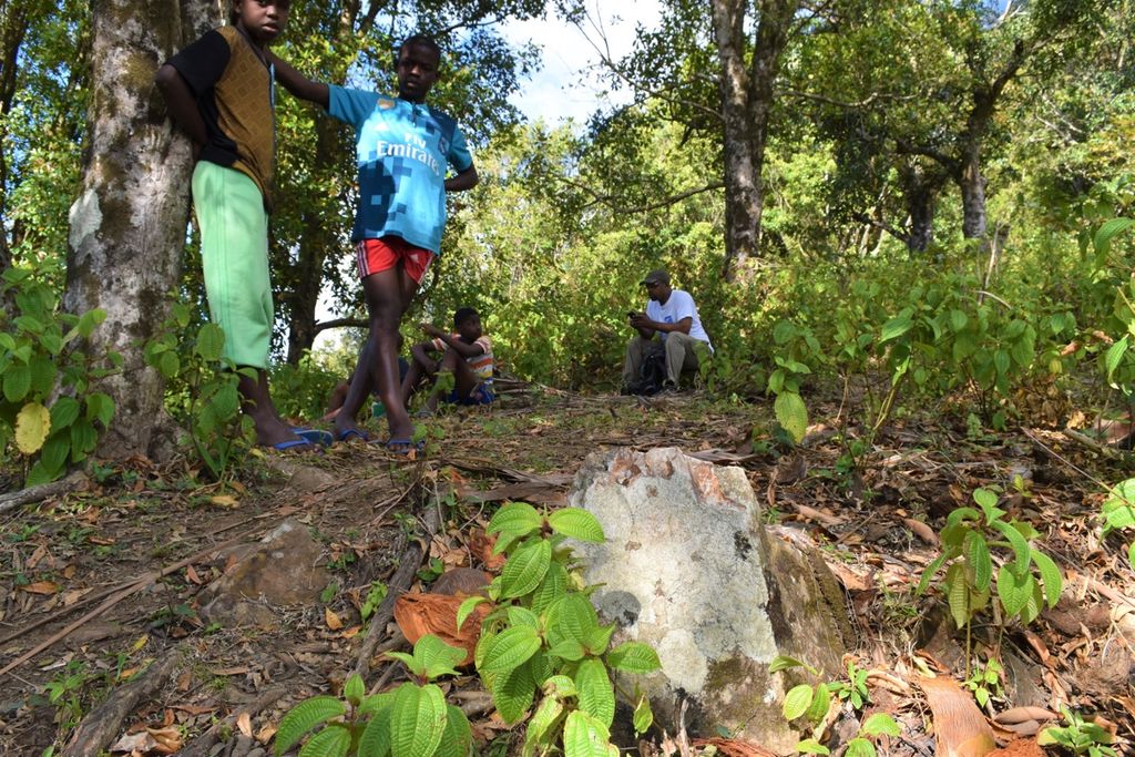 In Photos: Impossible Rocks on a Remote Island | Live Science