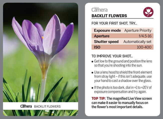 72 tips cards for photographers! Print, cut out and keep or save them ...