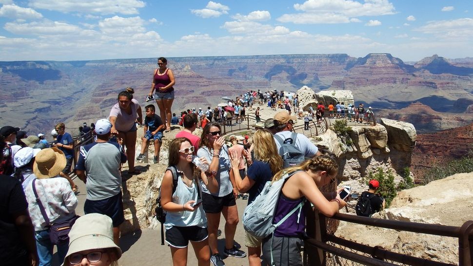 Post-pandemic overcrowding of national parks causing bigger problems ...
