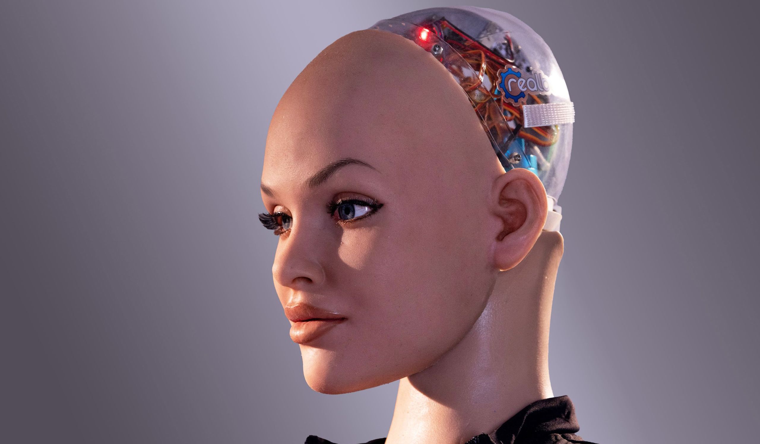 If you're trying to convince me your 'companionship' robot is 'lifelike ...