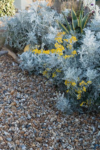 The best edging plants: easy ways to define key areas of your garden ...