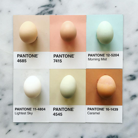 Eggcellent Pantone project provides an Easter treat | Creative Bloq