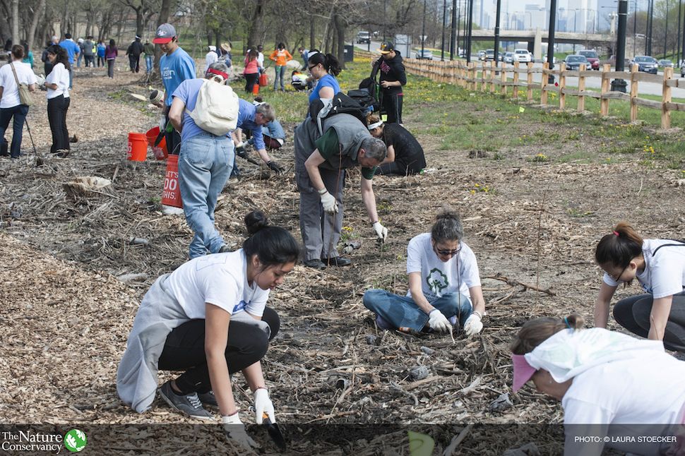 Make Earth Day Active with These 5 Volunteer Ideas | Live Science
