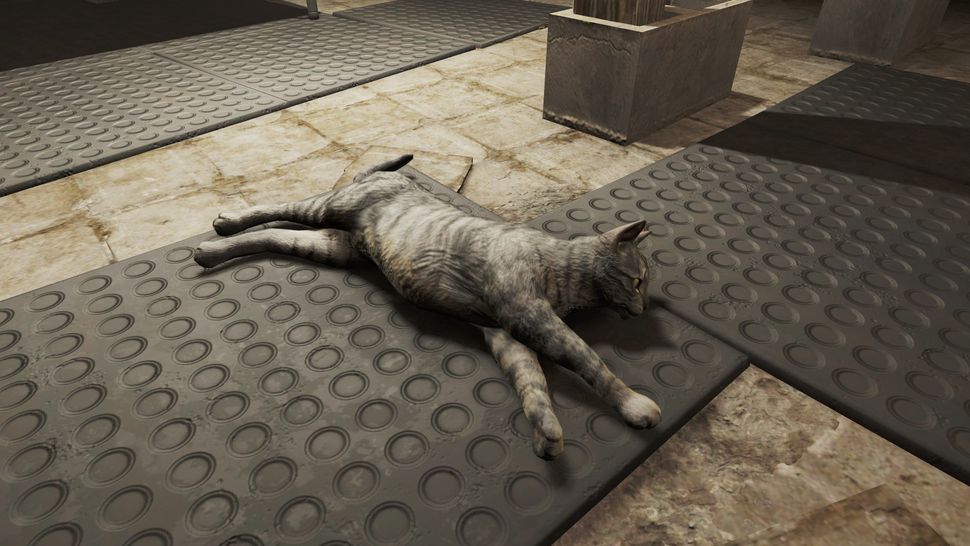 Cat-loving modder overhauls Fallout 4's slow, stupid felines | PC Gamer