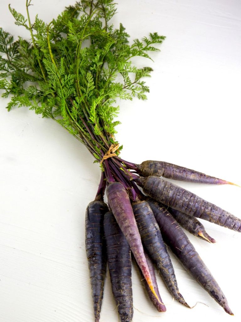 Vegetables From History: What Were Ancient Vegetables Like | Gardening ...