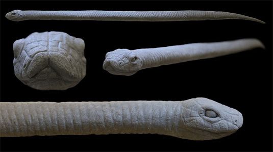 BBC reveals new Doctor Who artwork | Creative Bloq