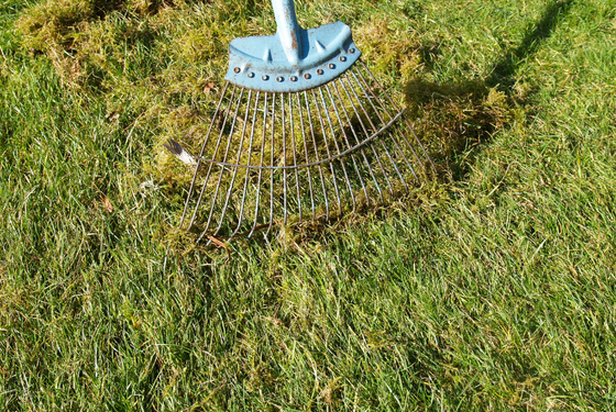 How to scarify a lawn: Step-by-step guide | Homebuilding