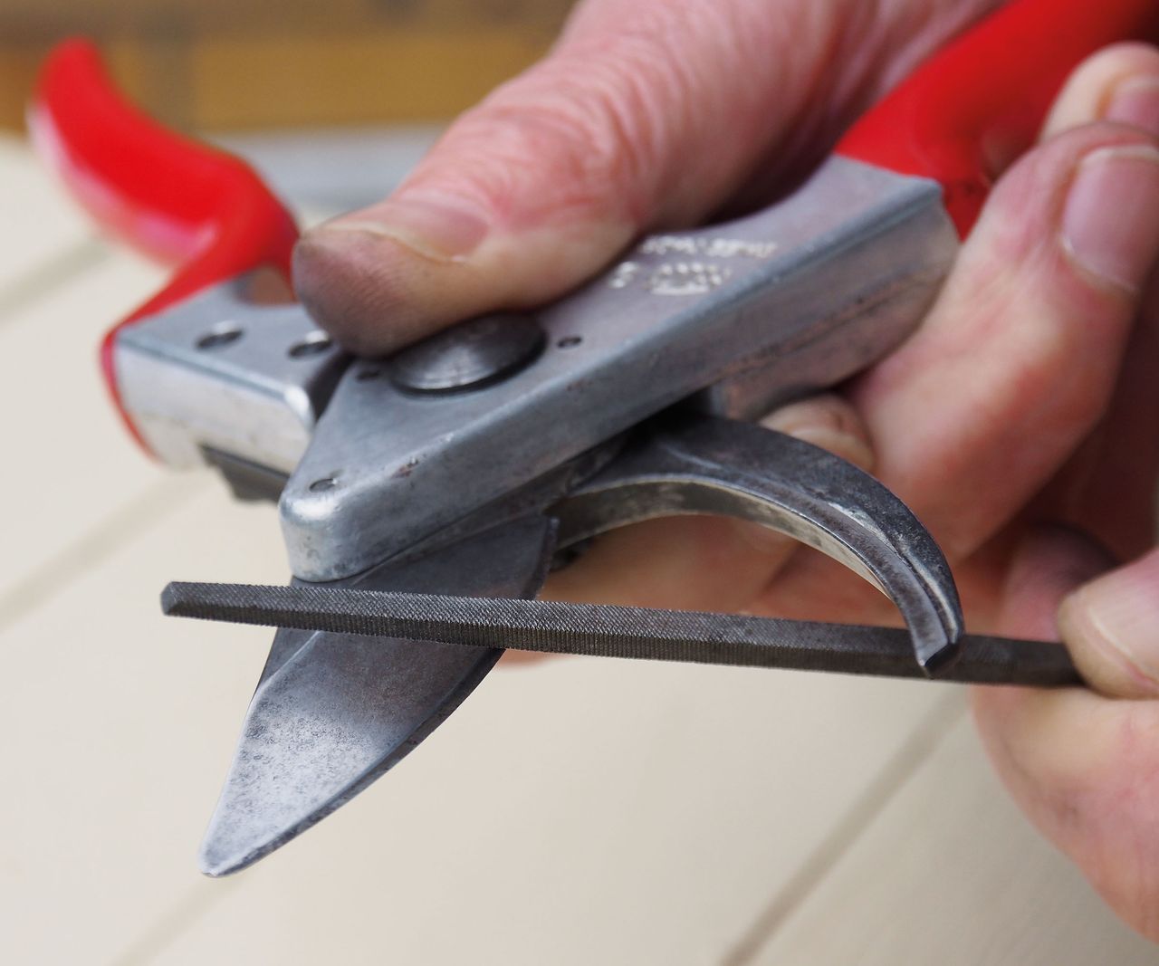 How to clean and sharpen pruning shears | Homes & Gardens