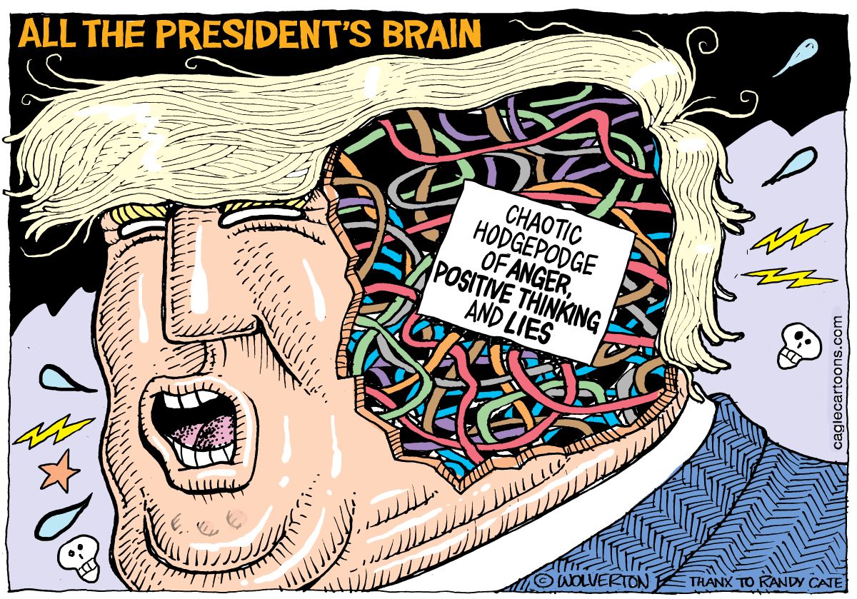 Political cartoon U.S. Trump brain alternative facts lies | The Week