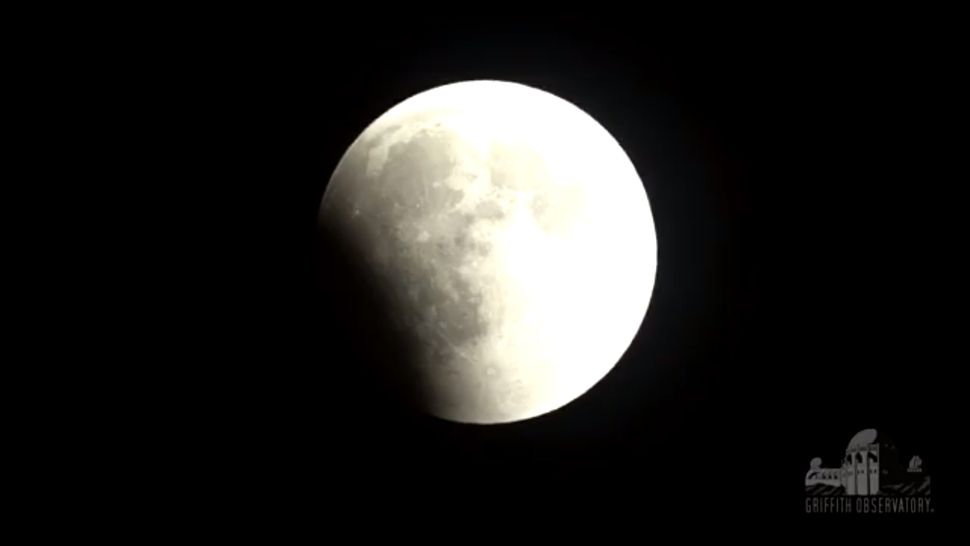 The Super Blood Wolf Moon Eclipse of 2019: A Red Lunar View! | Space