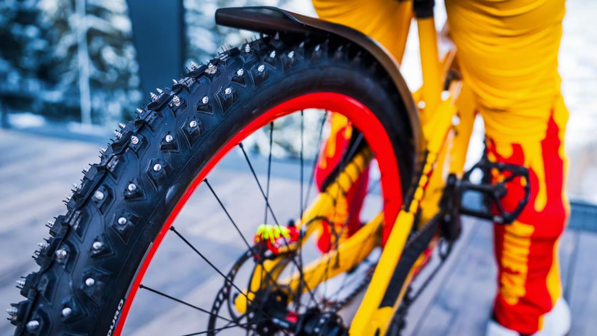 Full details on the custom Canyon Torque MTB Fabio Wibmer rode on his ...