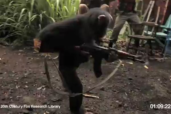 Planet of the Apes: Can Chimps Really Shoot Guns? | Live Science
