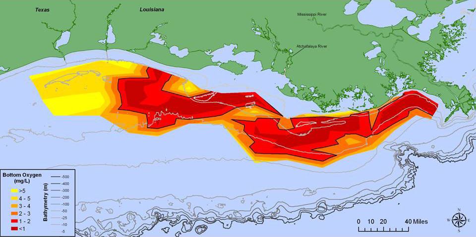The Gulf of Mexico's 'Dead Zone' Could Nearly Double in Size This Year ...