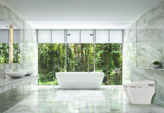 These wacky CES 2020 products let you have a super futuristic bathroom ...