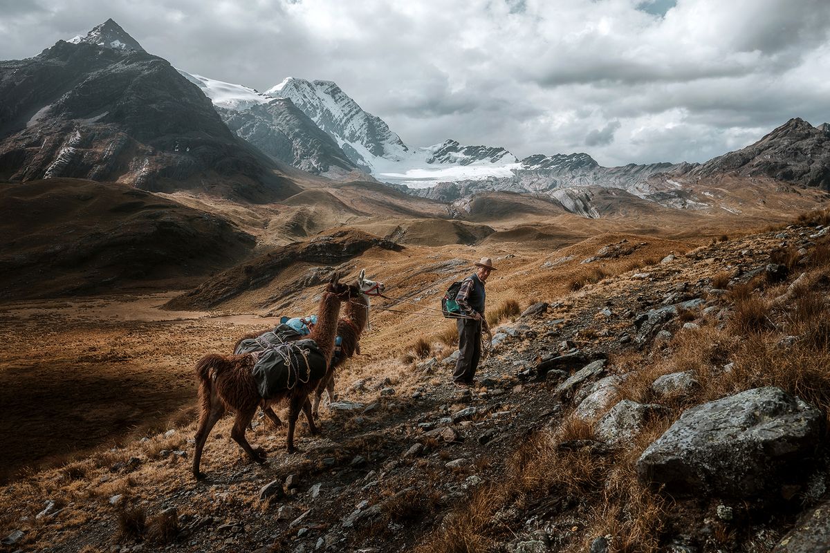 Over half a million photos entered in the 2023 CEWE Photo Award ...