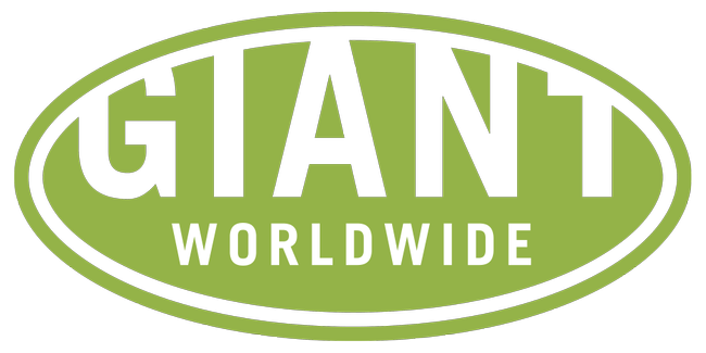 Testronic and Giant Interactive Rebrand as Giant Worldwide | TV Tech