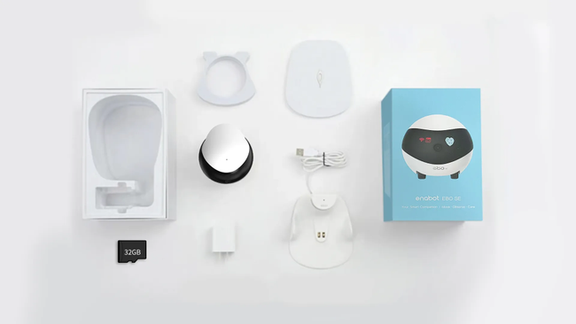 Enabot Ebo SE pet robot review: the catsitter I didn’t know I needed ...