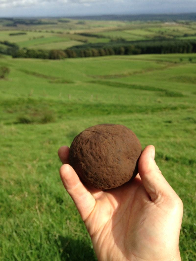 In Photos: 1,800-Year-Old Roman Battle Site | Live Science