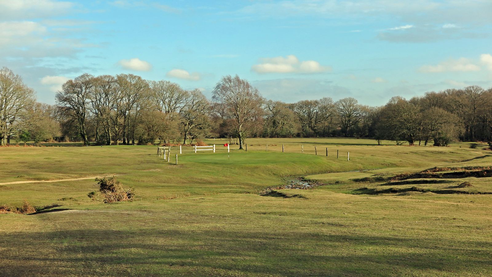 Bramshaw Golf Club Forest Course Review | Golf Monthly