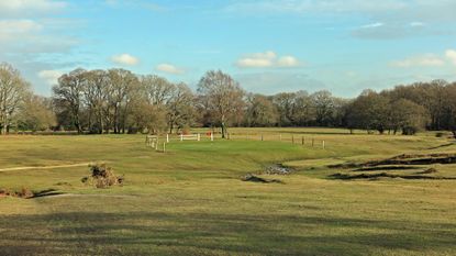 Bramshaw Golf Club Forest Course Review | Golf Monthly