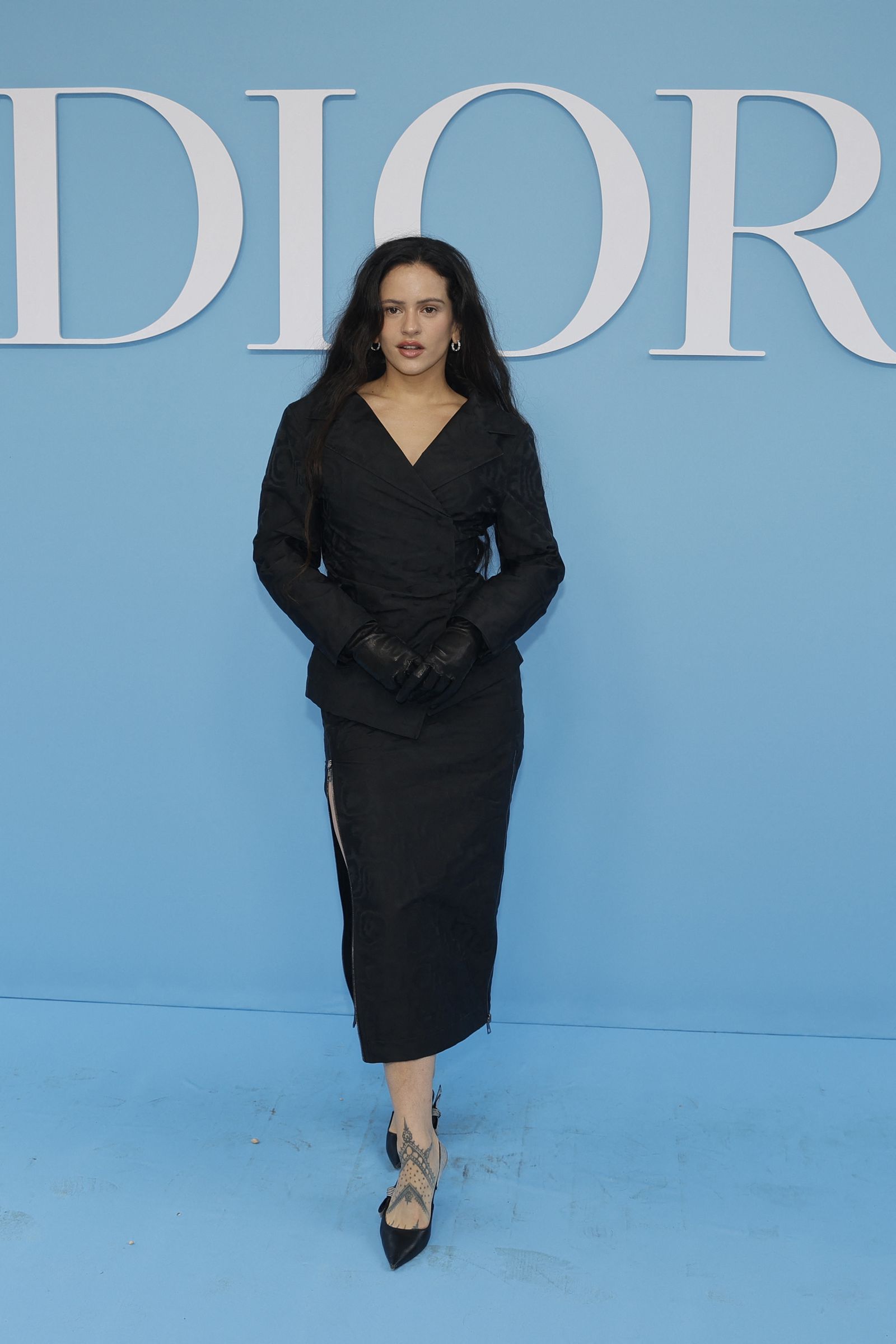 Everything to Know About Dior's Spring/Summer 2025 Paris Show | Who ...