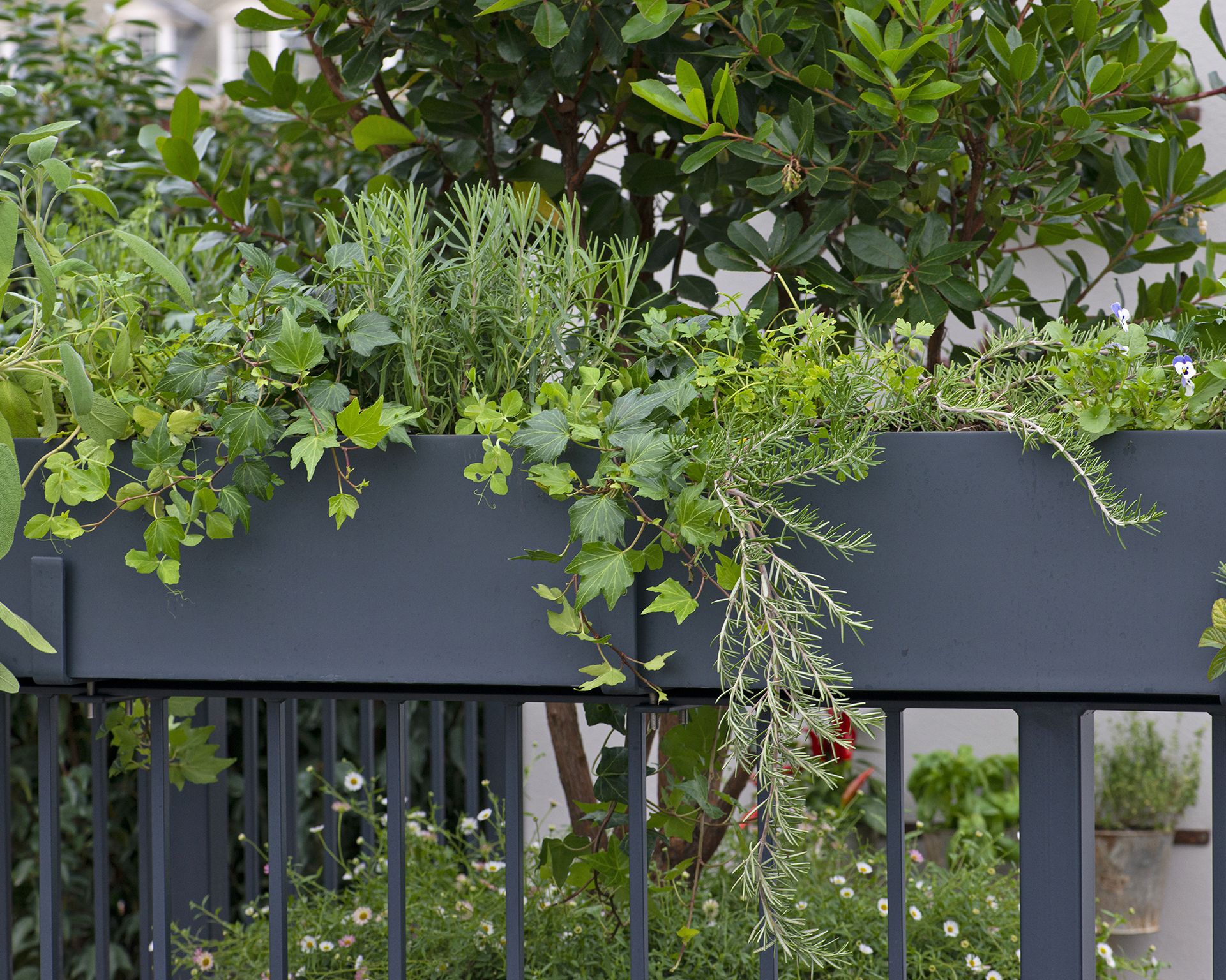 15 Herb Garden Planter Ideas – Grow An Aromatic Patio Feast | Gardening ...