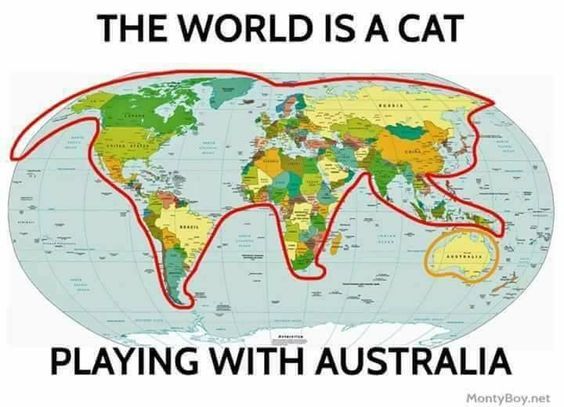 Never forget that the world is a cat playing with Australia | Creative Bloq