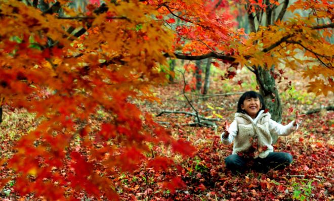 Autumn is gorgeous the world over | The Week