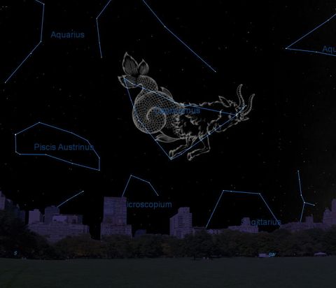 Constellations of the Night Sky: Famous Star Patterns Explained (Images ...