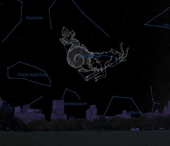 Constellations of the Night Sky: Famous Star Patterns Explained (Images ...