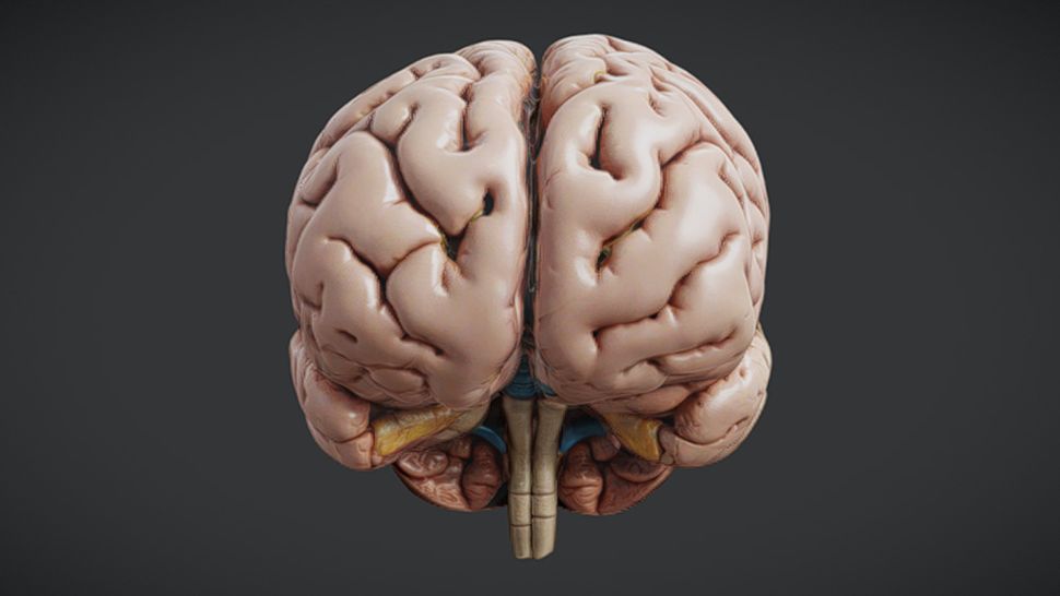 Free 3D models: 24 quality assets for your CG projects | Creative Bloq