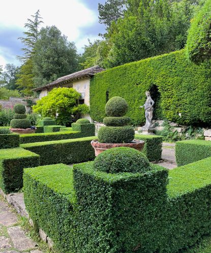 Landscaping with evergreens: 9 ways to use in garden design | Homes and ...