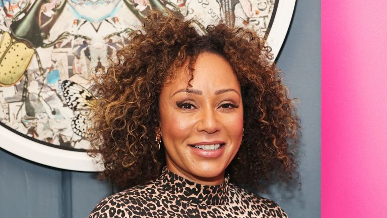 Mel B's Scary Spice-centric sofa follows this bold trend | Homes and ...