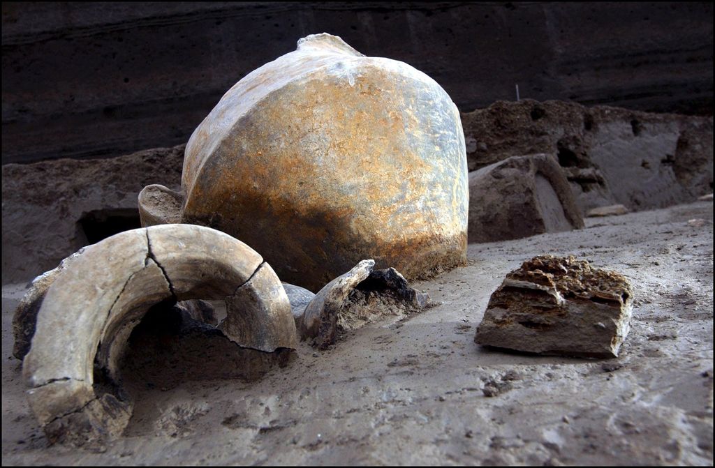 Inscription Reveals Final Years of Life in Pompeii Before the City Was ...