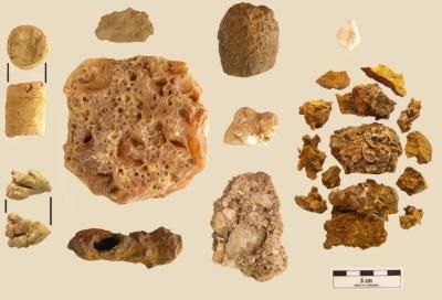 Ancient Shaman's Stones Uncovered in Panama | Live Science