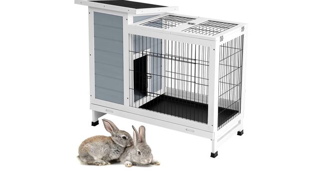 Best indoor rabbit hutches: 12 beautiful bunny pads | PetsRadar
