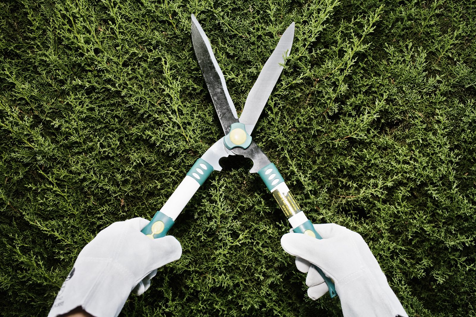 8 Japanese Gardening Tools That Will Elevate Your Backyard | Livingetc