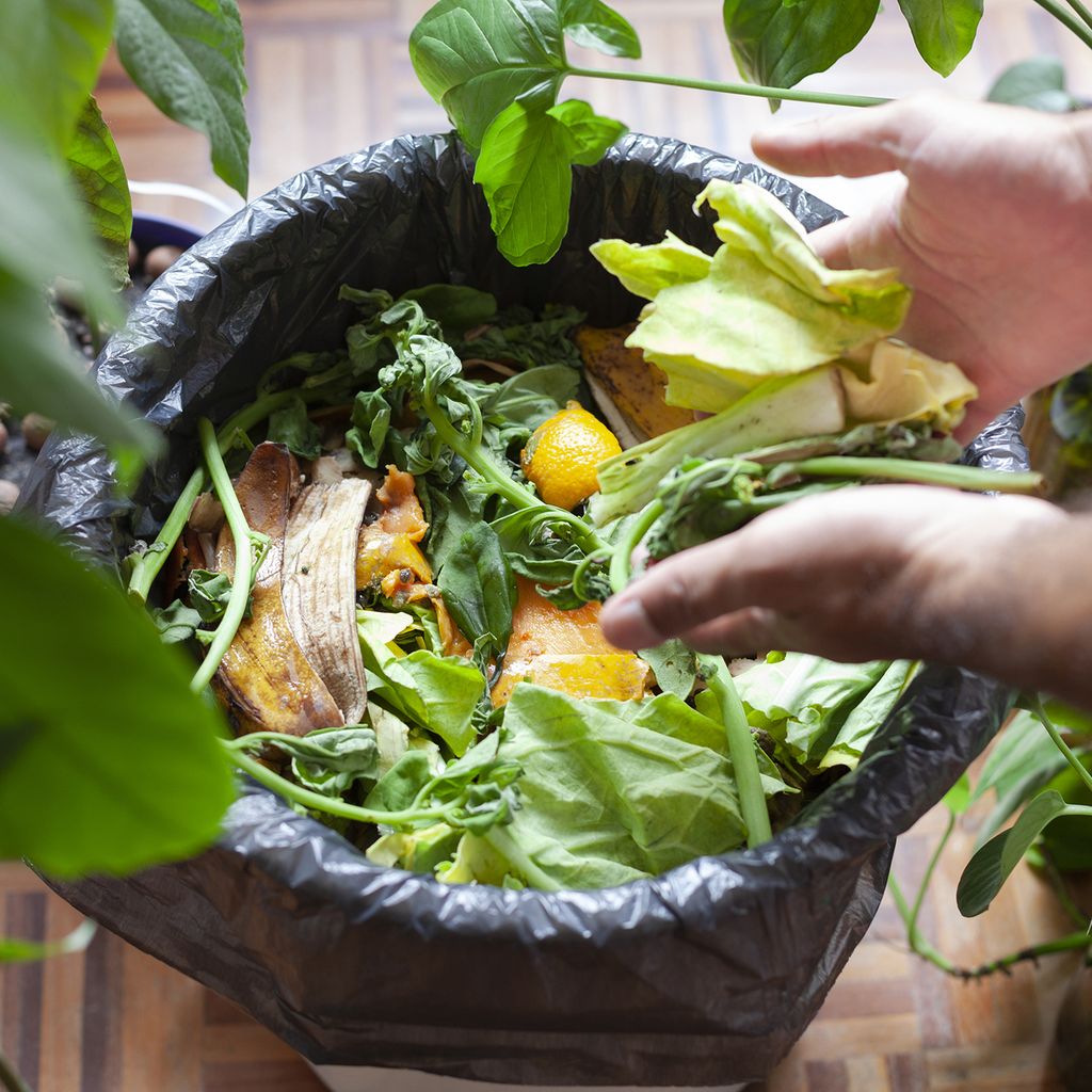 Tips & Information about Composting Basics | Gardening Know How