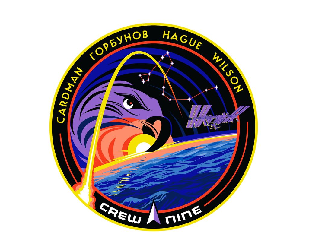 US Space Force will make history when SpaceX's Crew-9 mission launches ...