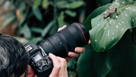 Best lenses for the Canon R5 | Digital Camera World