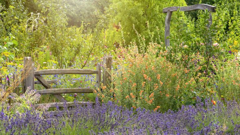 9 Natural Landscaping Ideas For An Easy, Unfussy Garden | Gardening ...