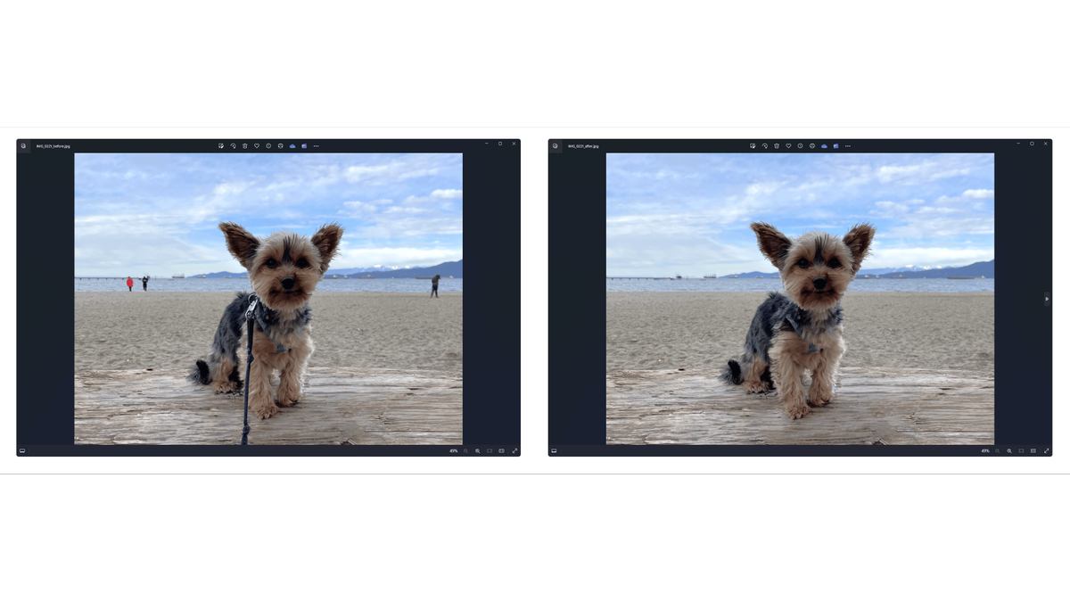 Microsoft brings one of the Google Pixel’s best features to Windows 11 ...